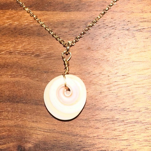 Jewelry | Mermaid Money Shiva Eye Shell Operculum Pacific Cats Eye ...